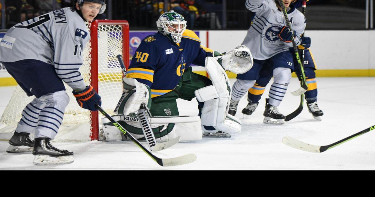 Cody Sylvester, Atlanta Gladiators surge late for 2-1 win over Swamp ...