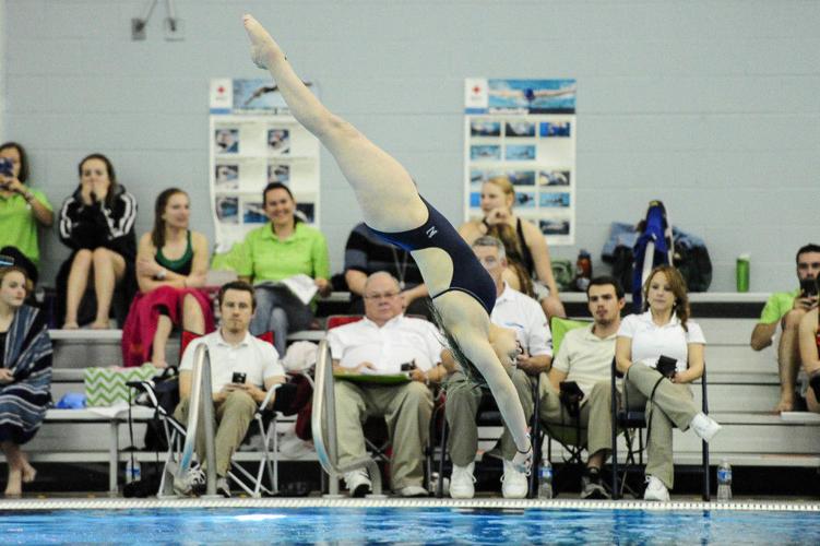 Gwinnett County Girls Diving Championships | Multimedia ...