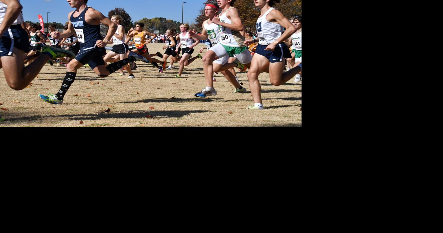 PHOTOS: Class AAAAAAA Cross Country Championships | Slideshows ...