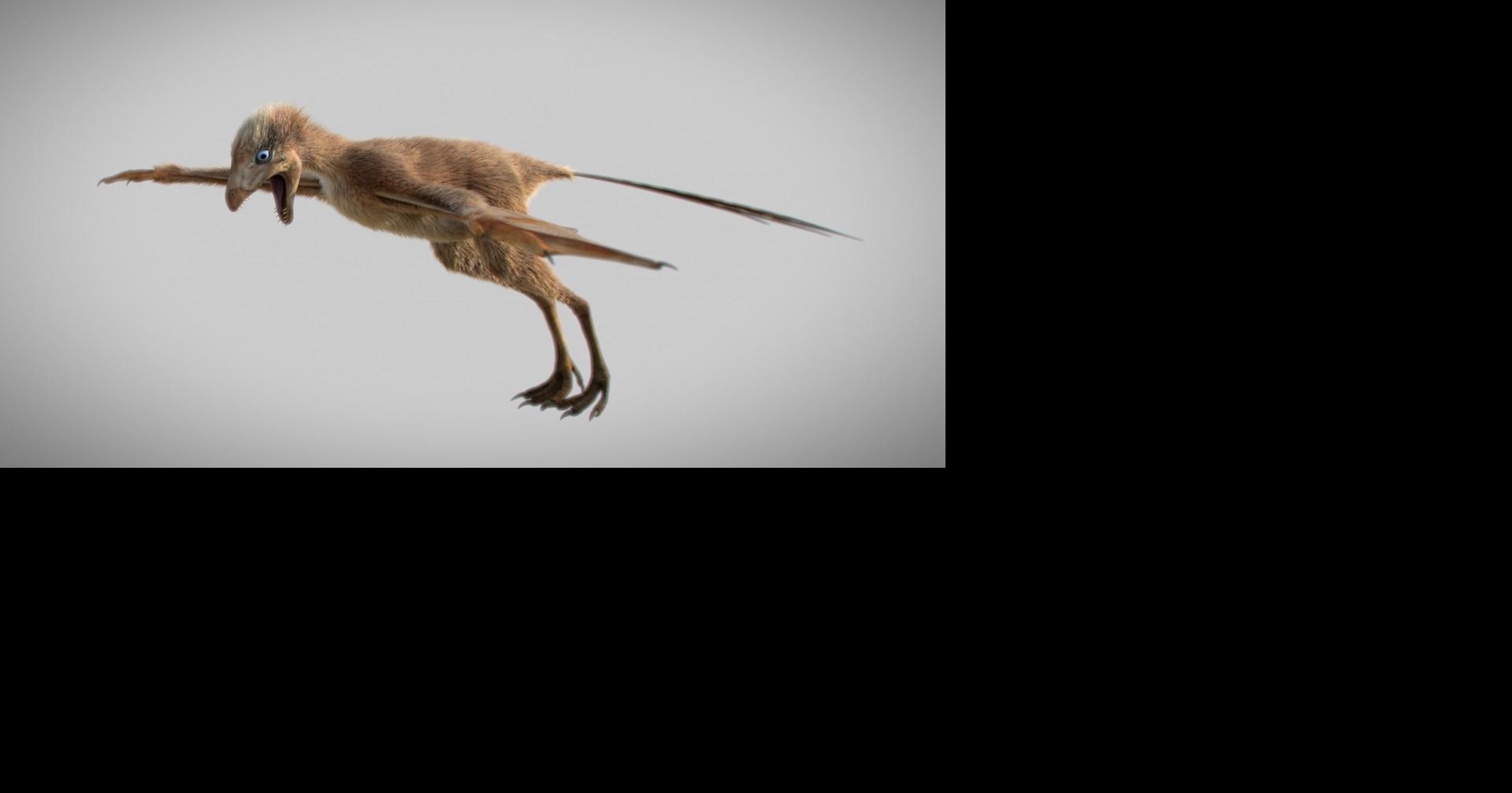 Gliding dinosaur with bat-like wings discovered in China ...