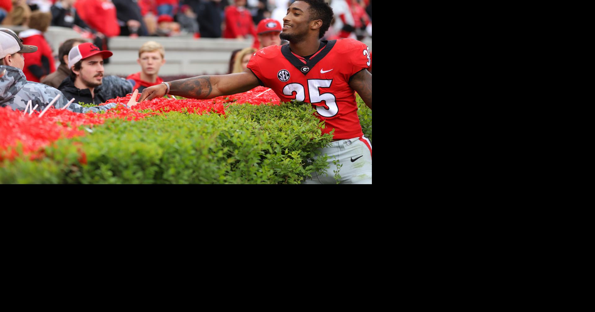 Georgia Begins Work on Sanford Stadium Hedges | Sports ...