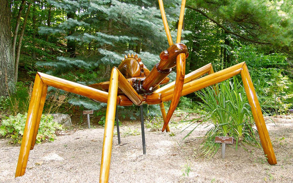 David Rogers' Big Bugs exhibit brings large-than-life sculptures to ...