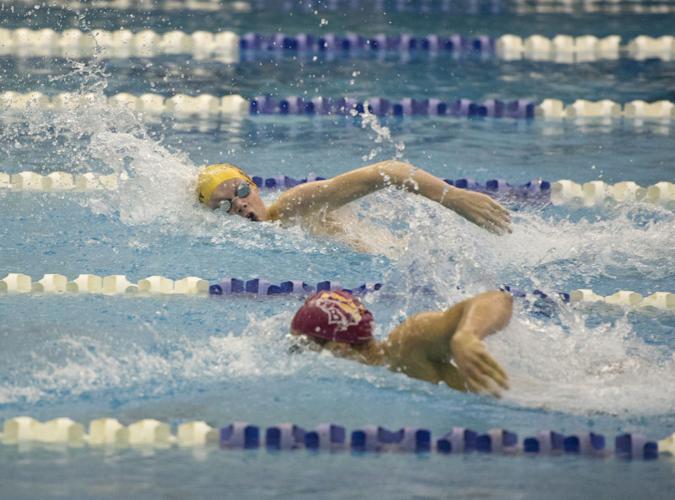 Gwinnett County Swimming and Diving Championships | Multimedia ...