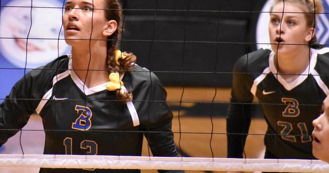 Duluth grad Rebecca Erwin earns national volleyball honor | Sports ...