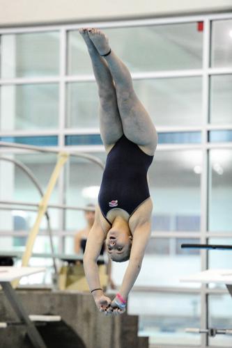 Gwinnett County Girls Diving Championships | Multimedia ...