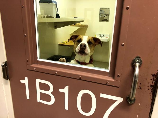 Gwinnett inmate pens book on what he’s learned from the county’s Jail ...