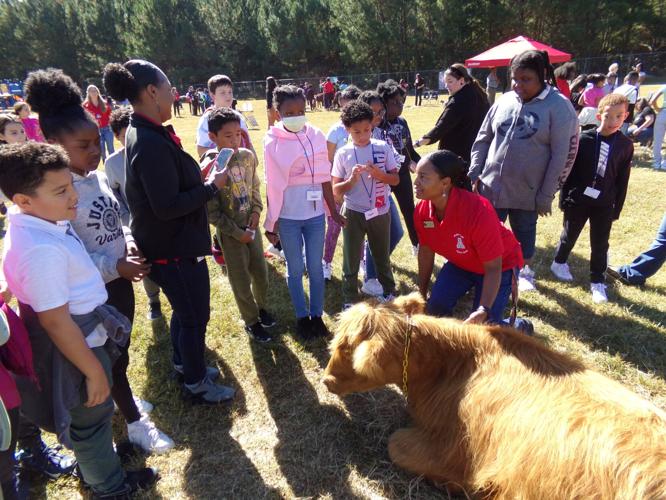 USDA takes farm animals to Lovin Elementary School in effort to bring ...