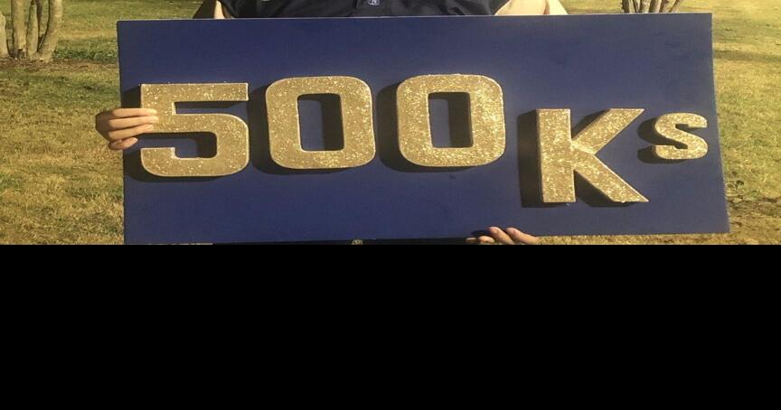 Sydney Boulware reaches 500-strikeout mark in Dacula softball win ...