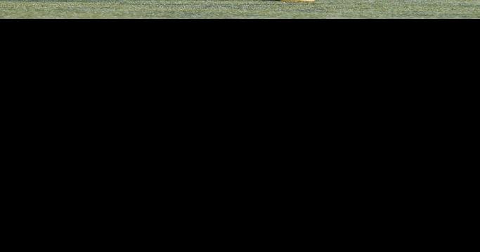 Lanier’s Sam to represent KSU at Big South Media Day | Sports ...