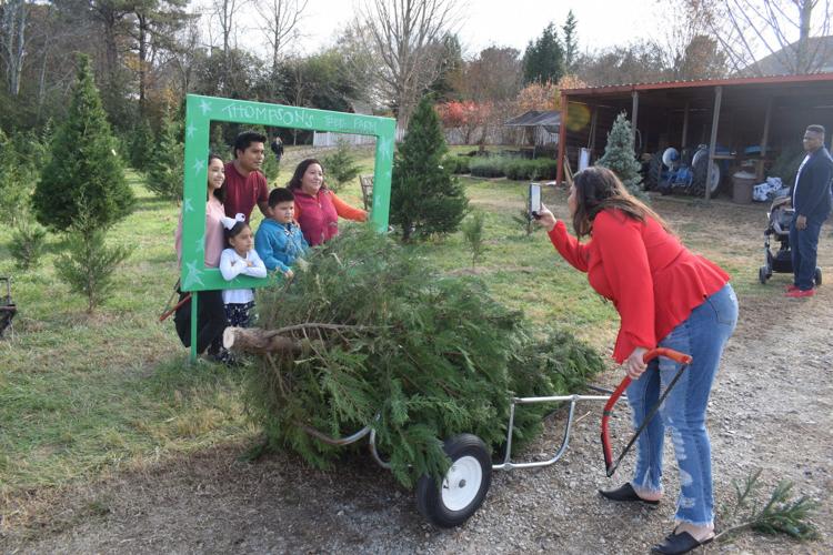 Picking and cutting down Christmas trees remains family tradition at ...