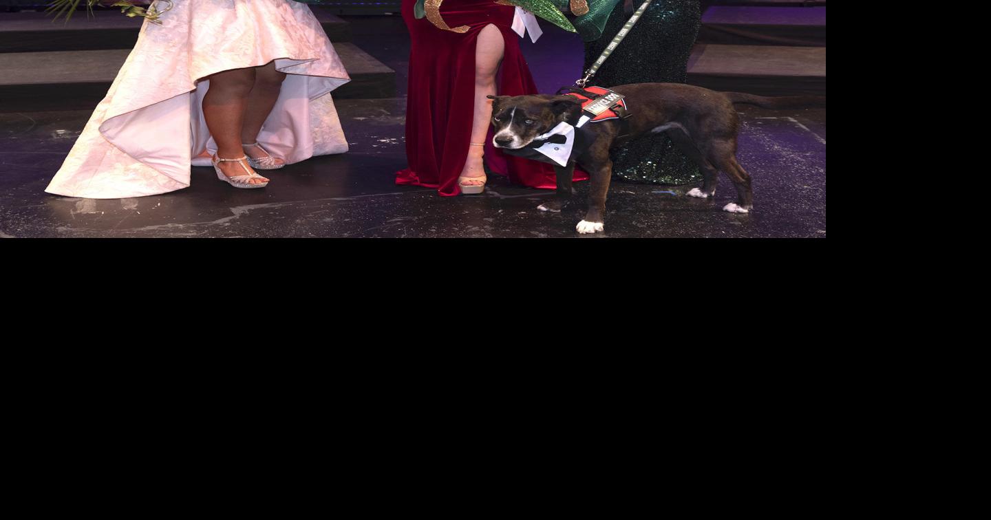Amite's Painting crowned Miss Southeastern | News | hammondstar.com