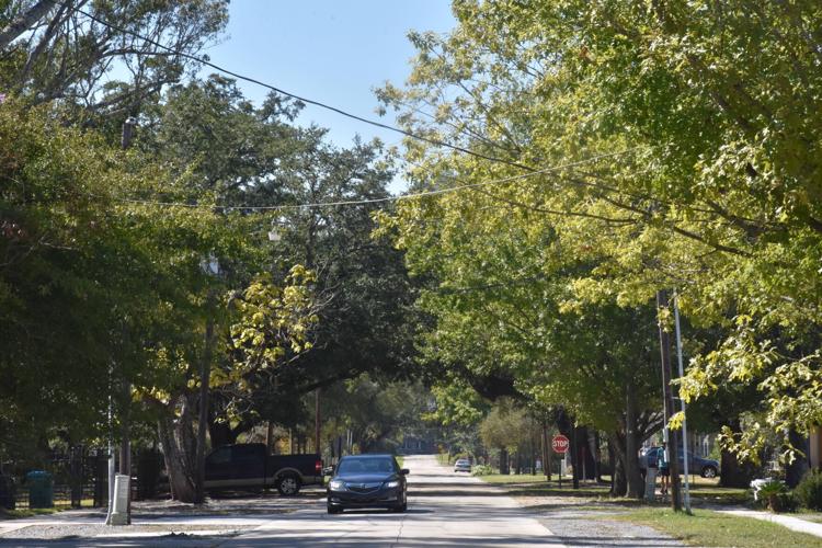 Tree ordinance veto survives override | News | hammondstar.com