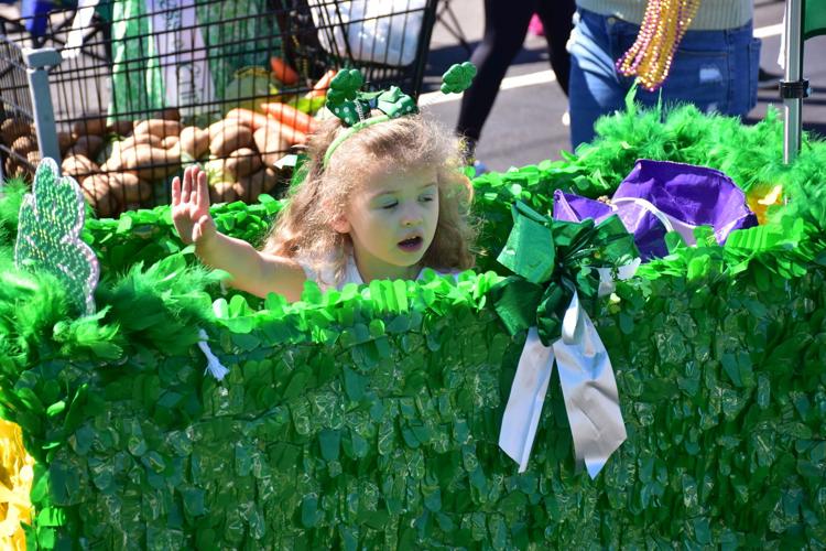 Krewe of Erin rolls through Ponchatoula | News | hammondstar.com
