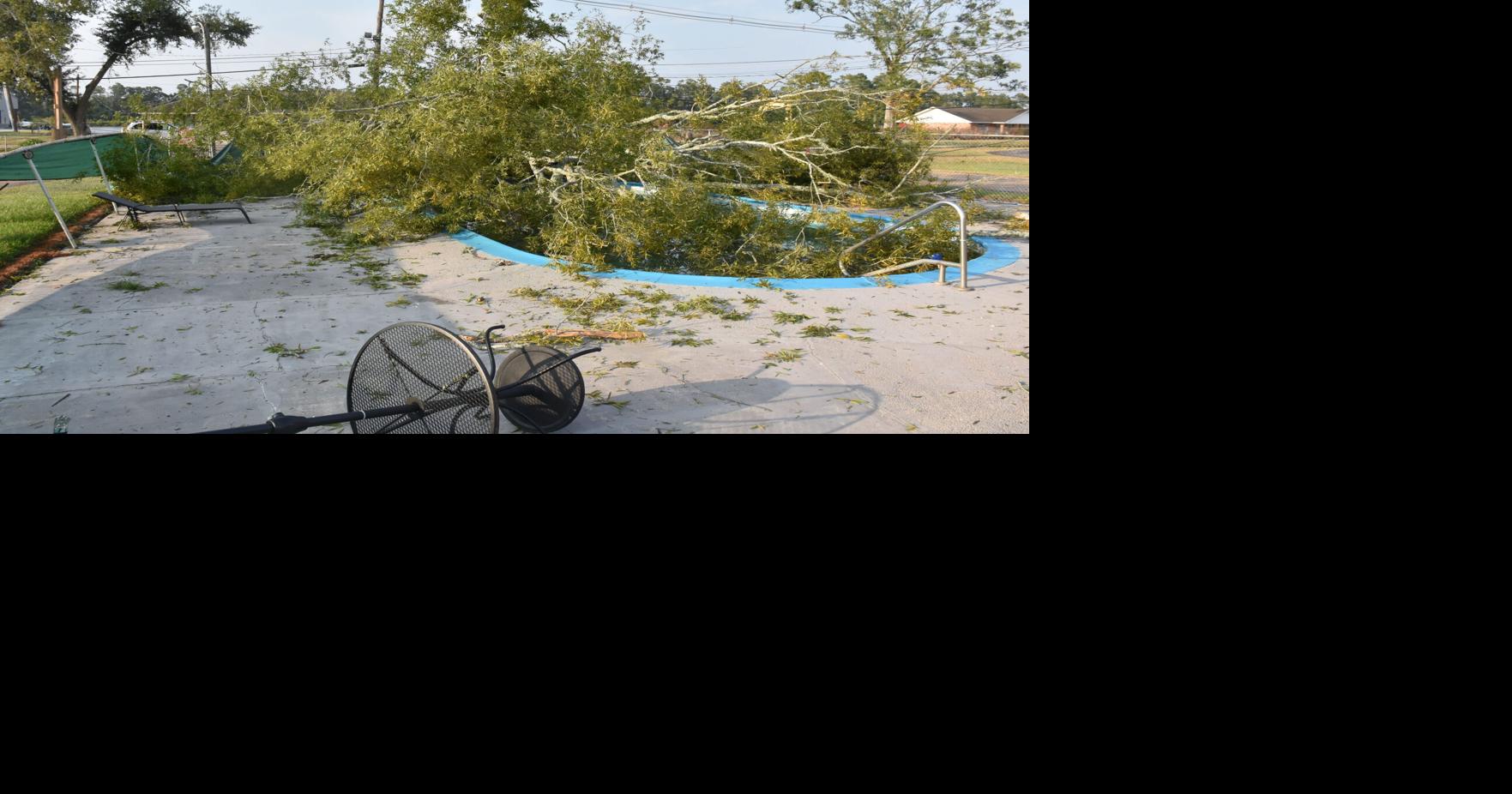 Strong winds down trees in Hammond | News | hammondstar.com