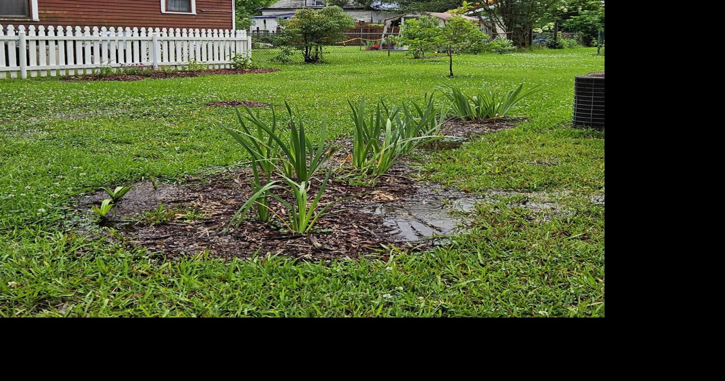 Working with wet areas on your land | Arts & Entertainment ...