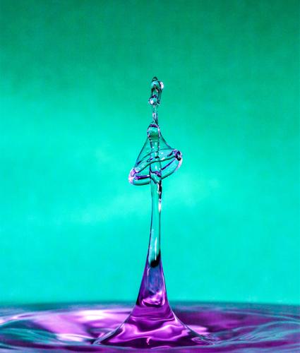 Tiny water wonders | Living | hampshirereview.com