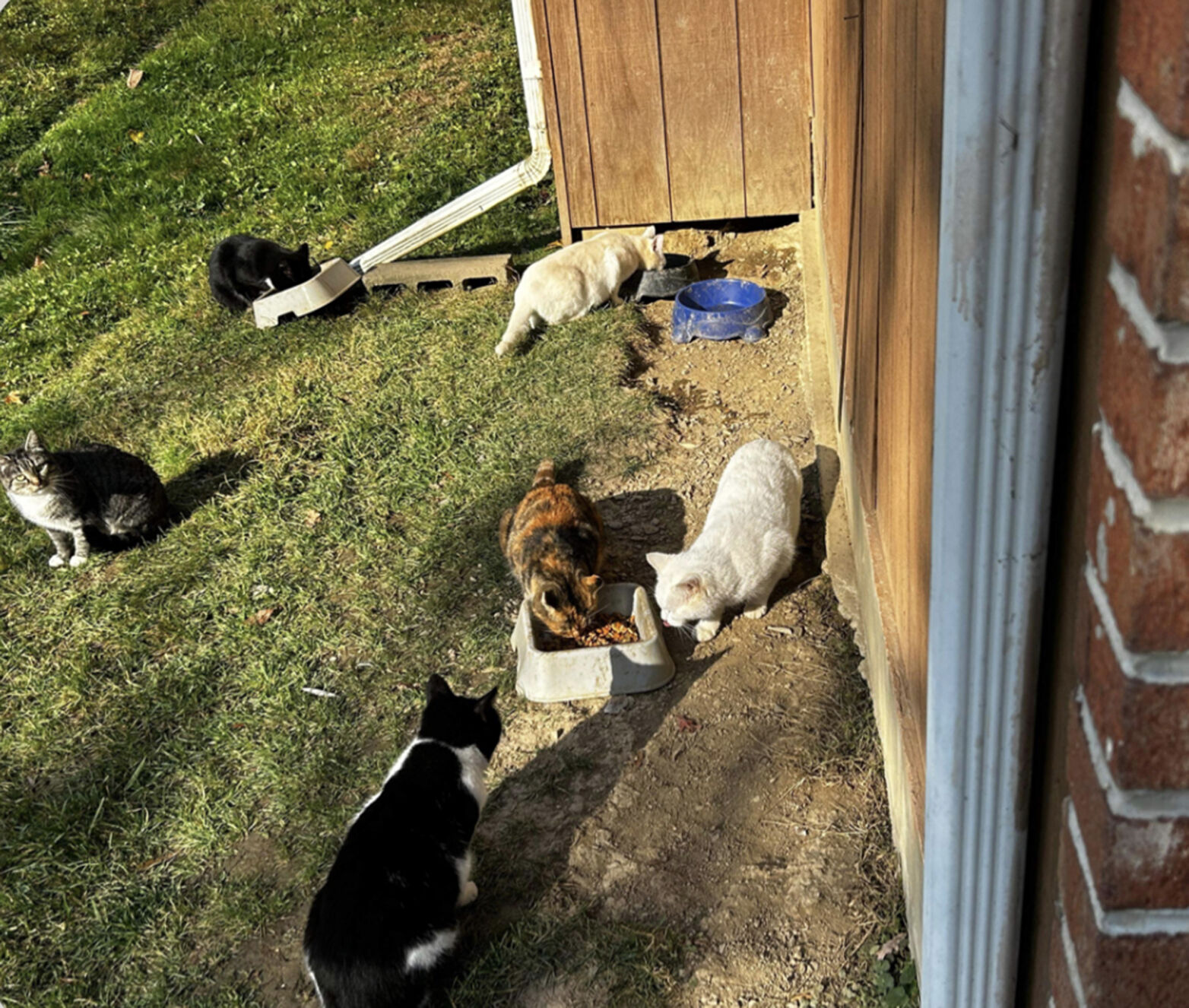 ‘We need people to help us help them’ | News | hampshirereview.com