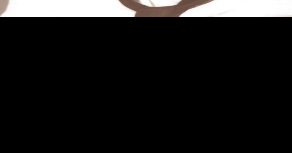 Walter Maslowski | Multimedia | hampshirereview.com