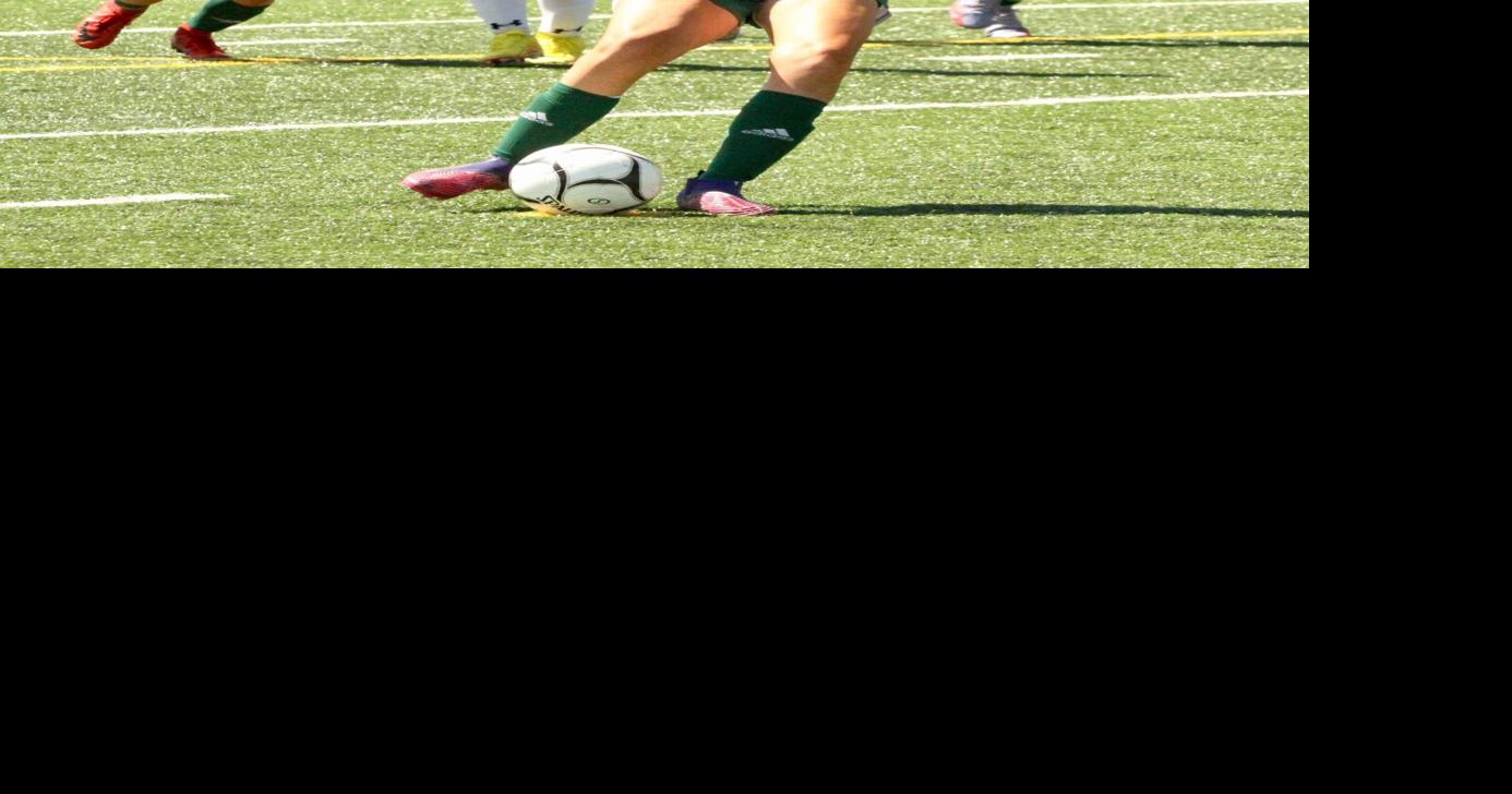 Bye Bye Red Birds | Sports | hampshirereview.com