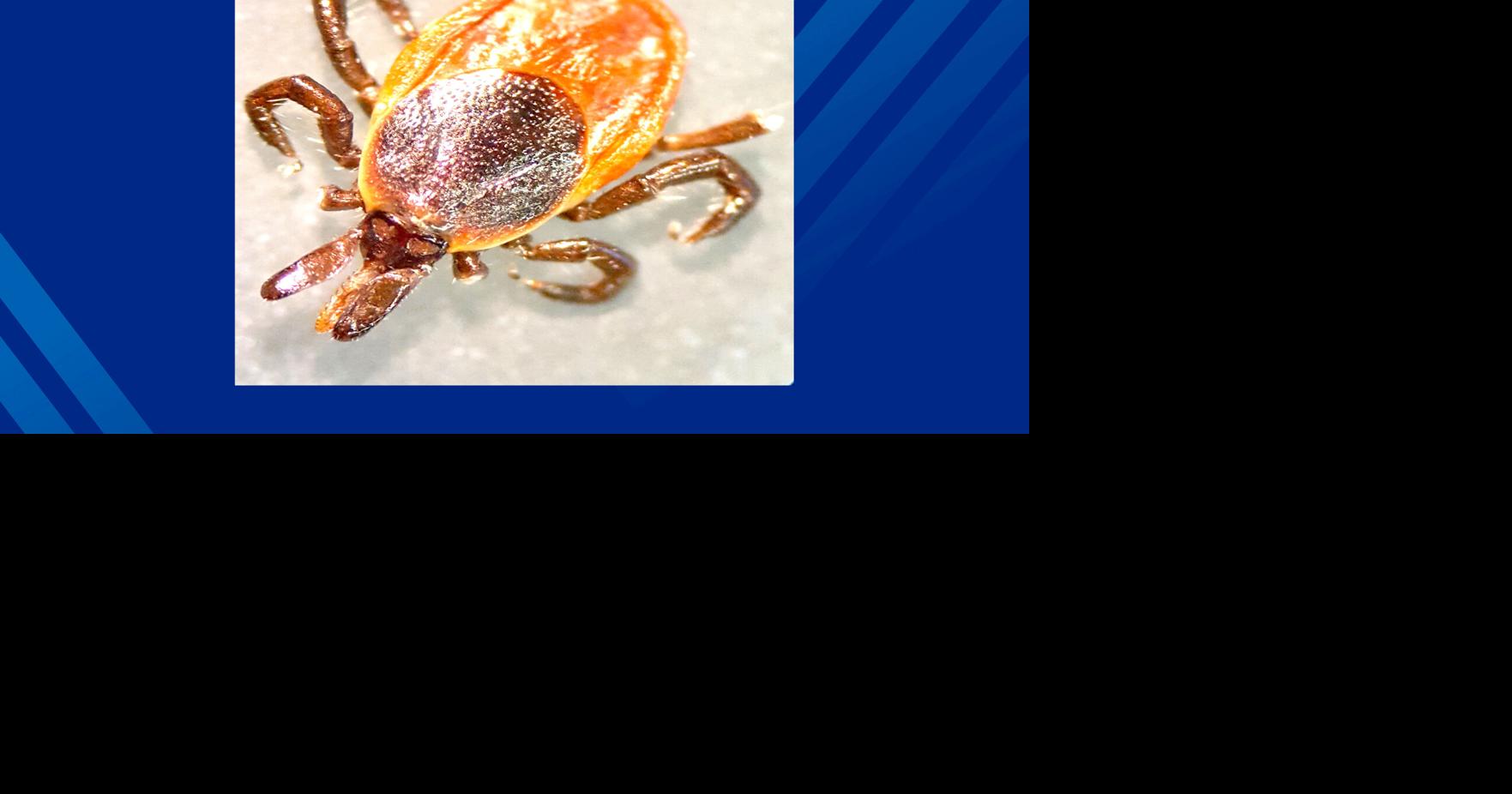 WVU researchers target Lyme disease vaccine with aid of $1.9M federal ...