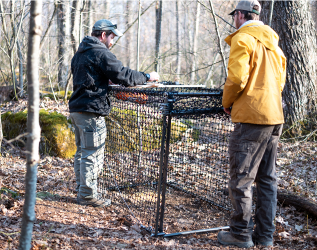 CWD is area’s top deer killer, study shows | News | hampshirereview.com