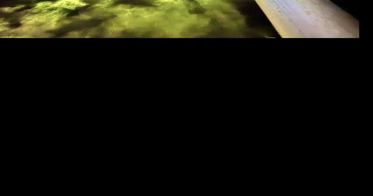 Lighting up the New Year | News | hampshirereview.com