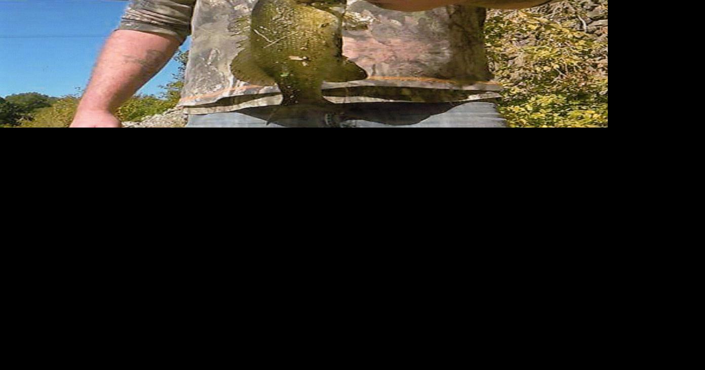 James I. ‘Jimmy’ Cowgill | Obituaries | hampshirereview.com