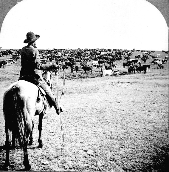 Philip Nolan (Texas) - Alchetron, The Free Social Encyclopedia