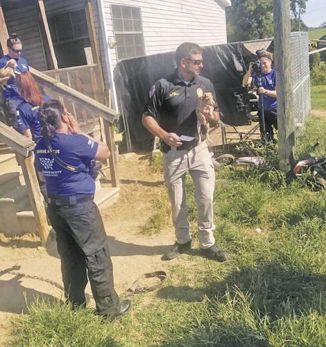 Twenty-one neglected dogs rescued | Local/State Headlines | hannapub.com