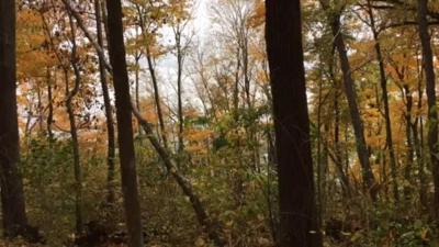 Colorful fall foliage on display at Riverview Park overlook | Article ...