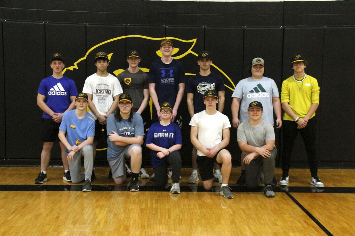 Monroe City taking it one pitch at a time | Sports | hannibal.net