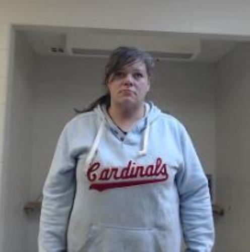 Two St. Louis area women charged for stealing | News | hannibal.net