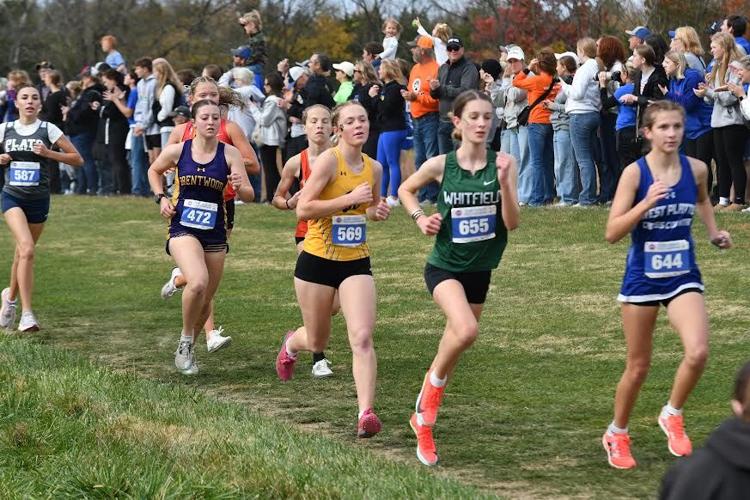 Photo Gallery: State cross country meet | Multimedia | hannibal.net