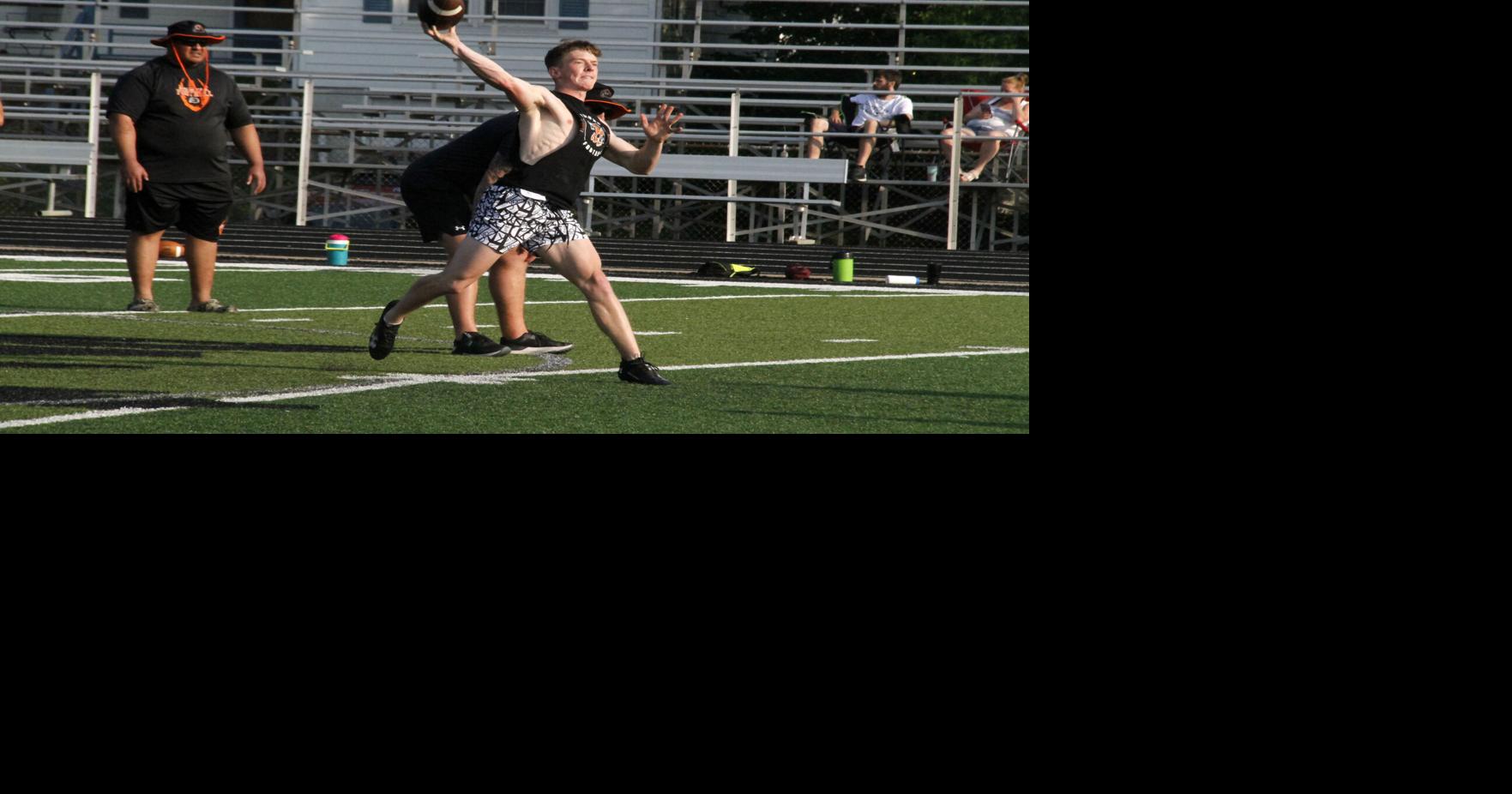 Buying In: New-look Panthers rolling with the changes | Sports ...