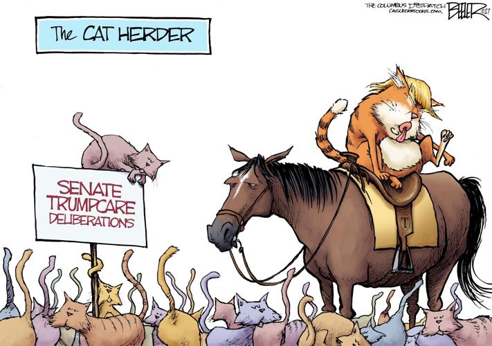 Beeler cartoon: The cat herder | Article | hannibal.net
