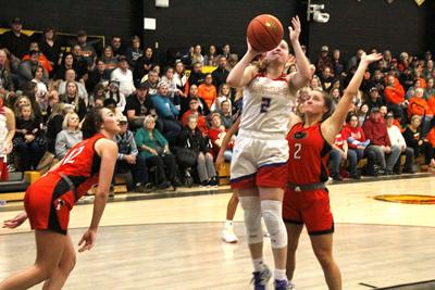 Friday Roundup: Lady Panthers fall to South Shelby | Sports | hannibal.net