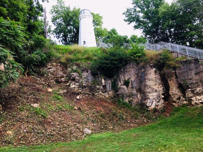 Cardiff Hill has new look; Master Naturalist Class removes invasive ...