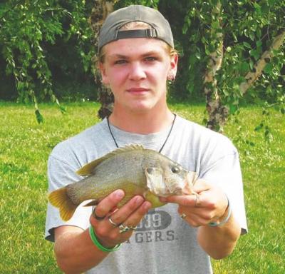 green sunfish record