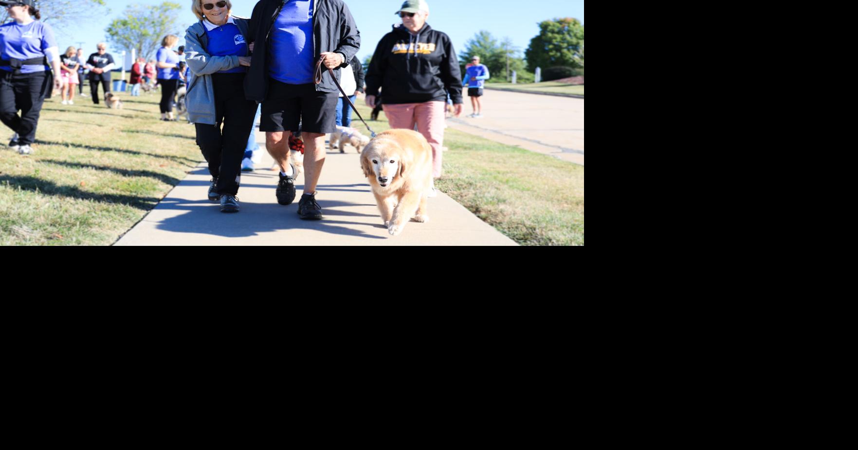 Hannibal Regional Foundation Hosting Annual Paws for a Cause Event ...