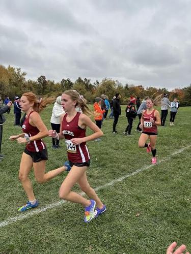 Hannibal cross country qualifies girls team, two boys to state ...