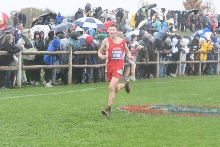 Area athletes compete in state cross country championships | Sports ...