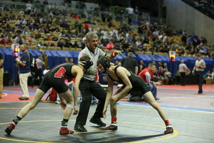 Three Hannibal wrestlers survive first day of state | Article ...