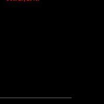 Stardust accident | Article | hannibal.net