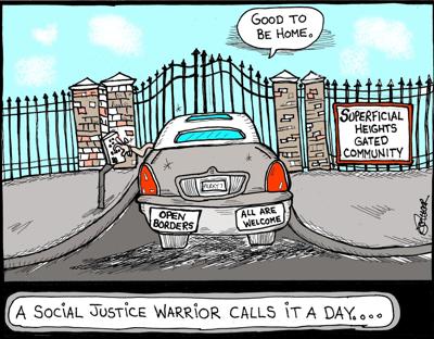 Liccar cartoon: Social justice warrior | Article | hannibal.net