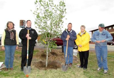BASF-donated dogwood tree planted in Hannibal | Article | hannibal.net