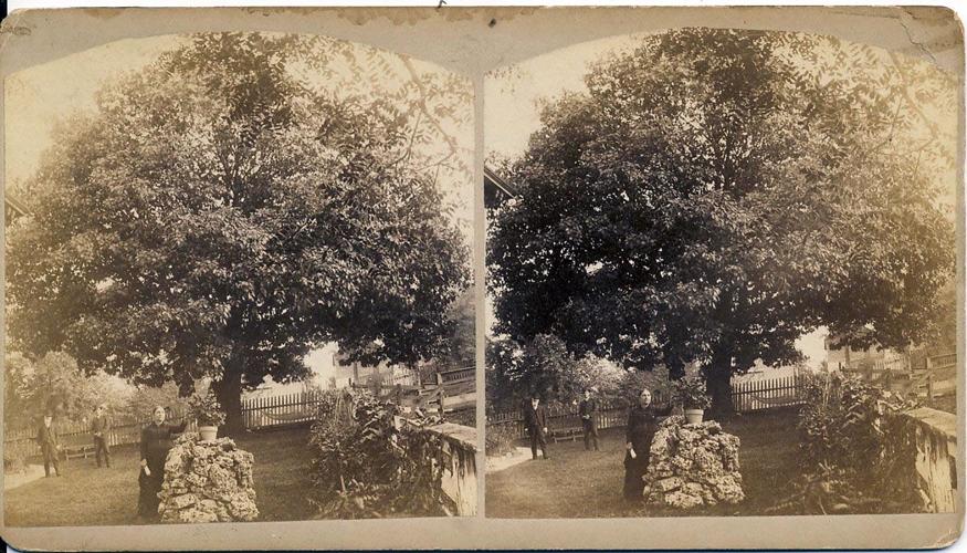 An eye-witness account of Hannibal’s 1878 Fair | Local News | hannibal.net