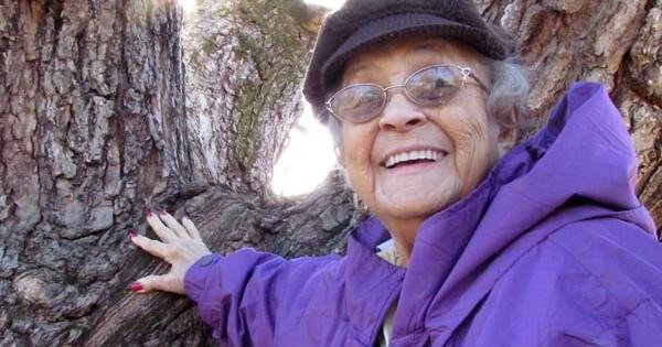 Hannibal woman s family roots linked to historic tree | Article ...