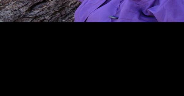 Hannibal woman s family roots linked to historic tree | Article ...