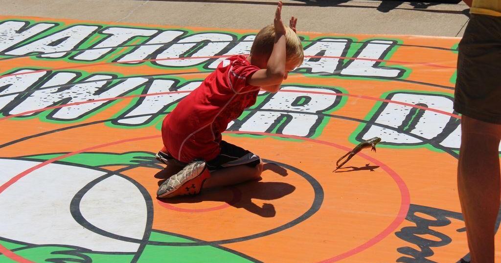 Winners announced for National Frog Jump Contest | Article | hannibal.net