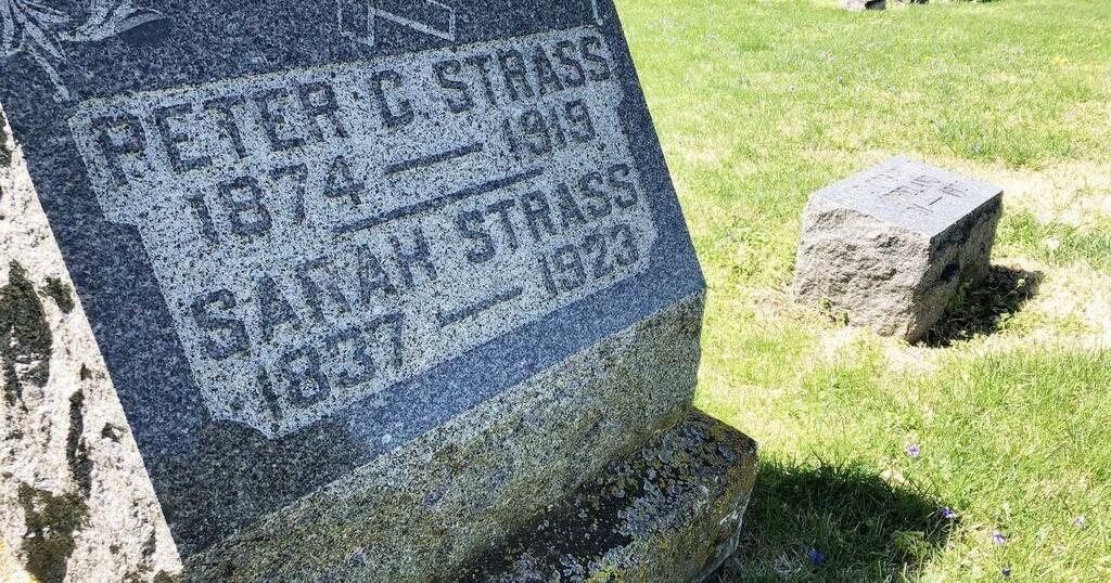 Peter Strass's hens nearly equaled record production | Article ...